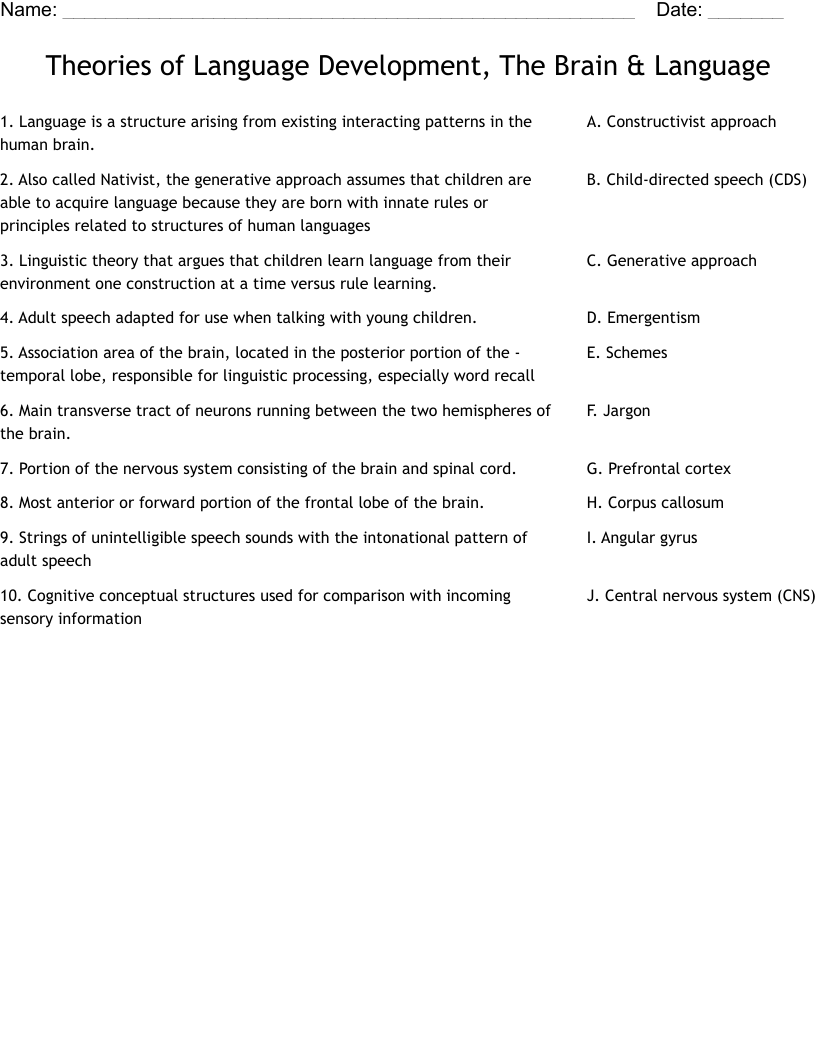 Theories of Language Development, The Brain & Language Worksheet - WordMint