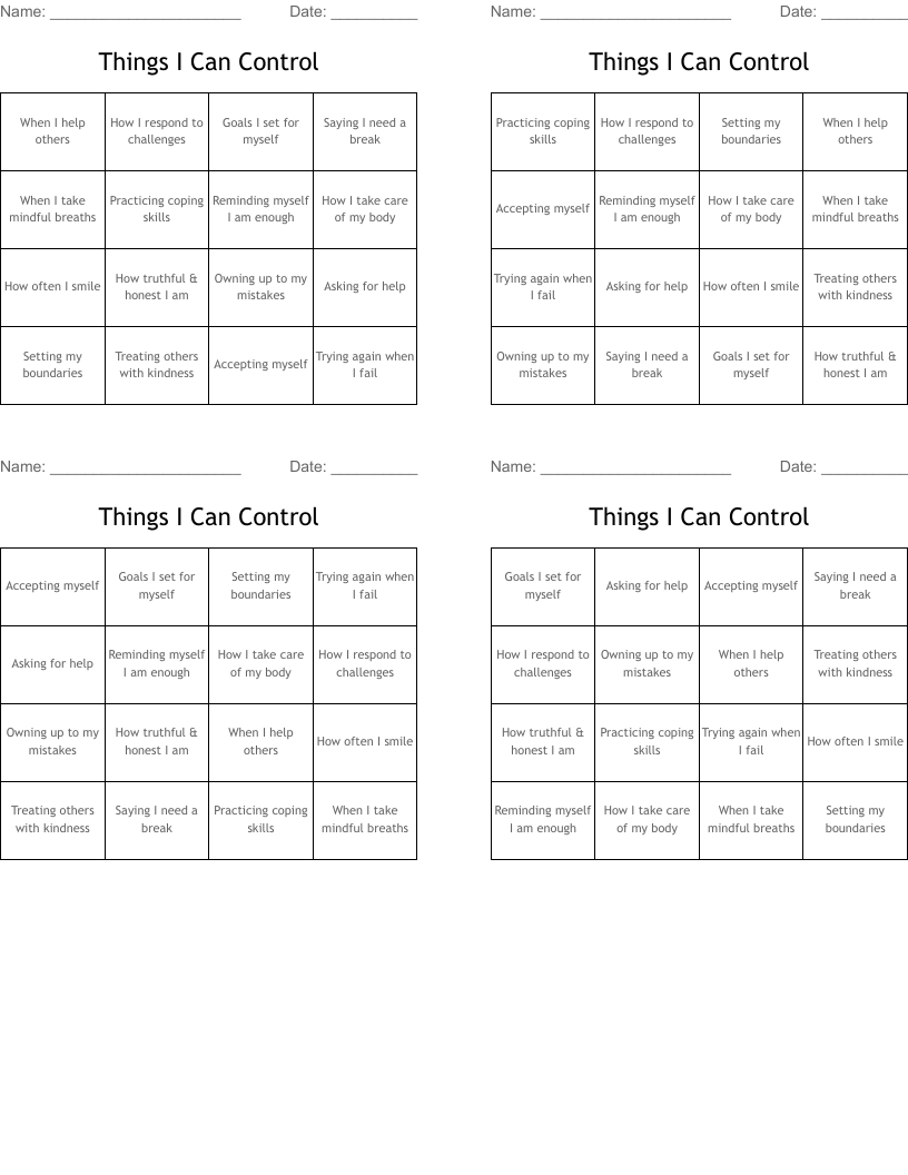 Things I Can Control Bingo Cards - WordMint