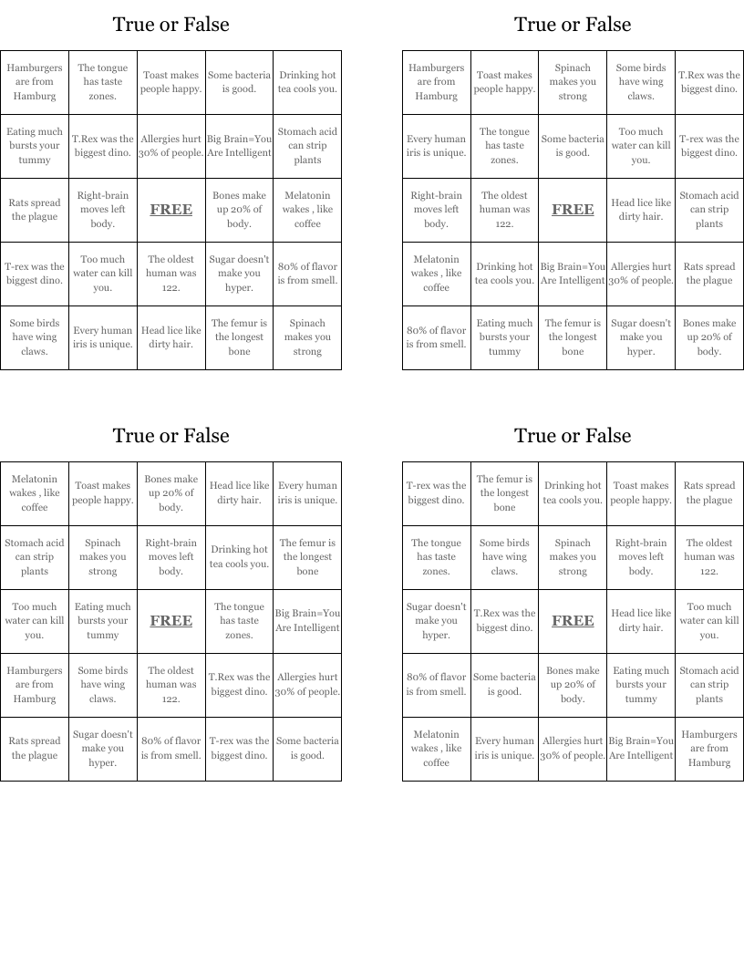 True or False Bingo Cards - WordMint