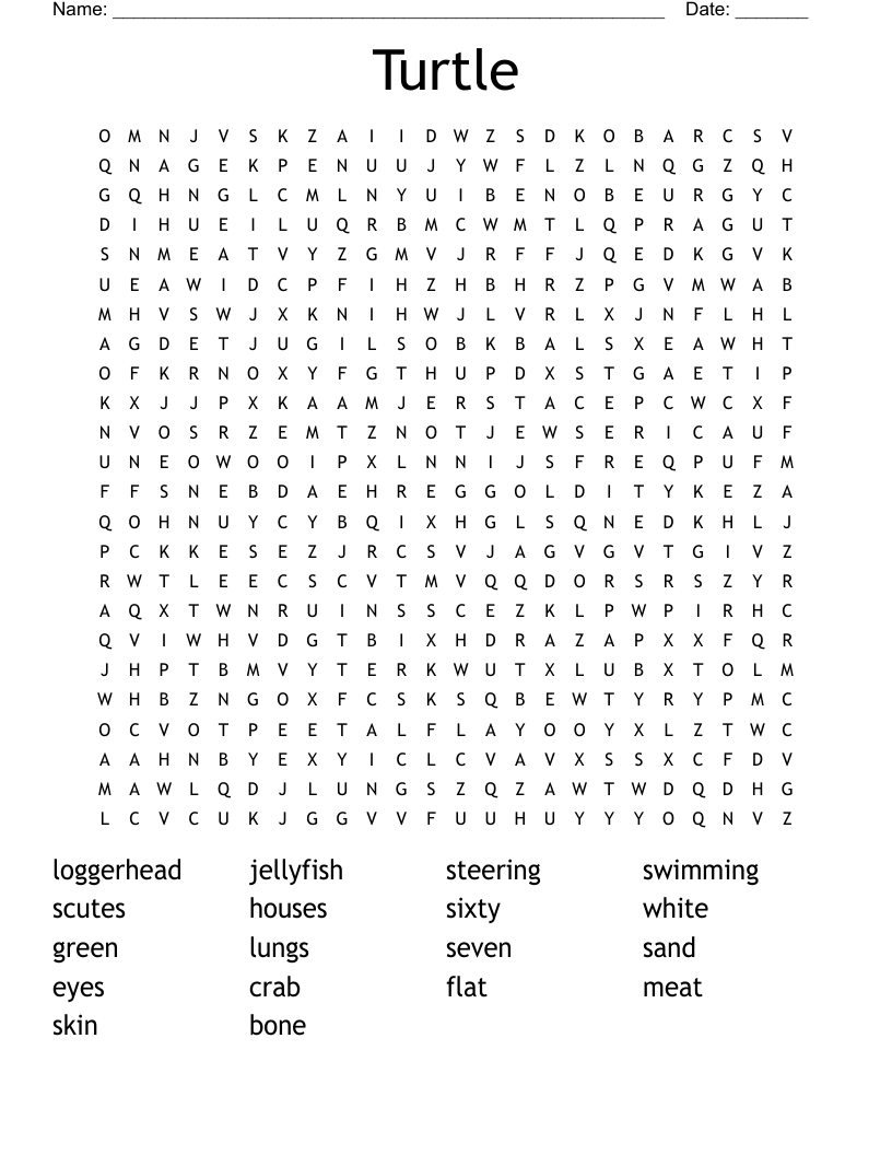 Turtle Word Search - WordMint