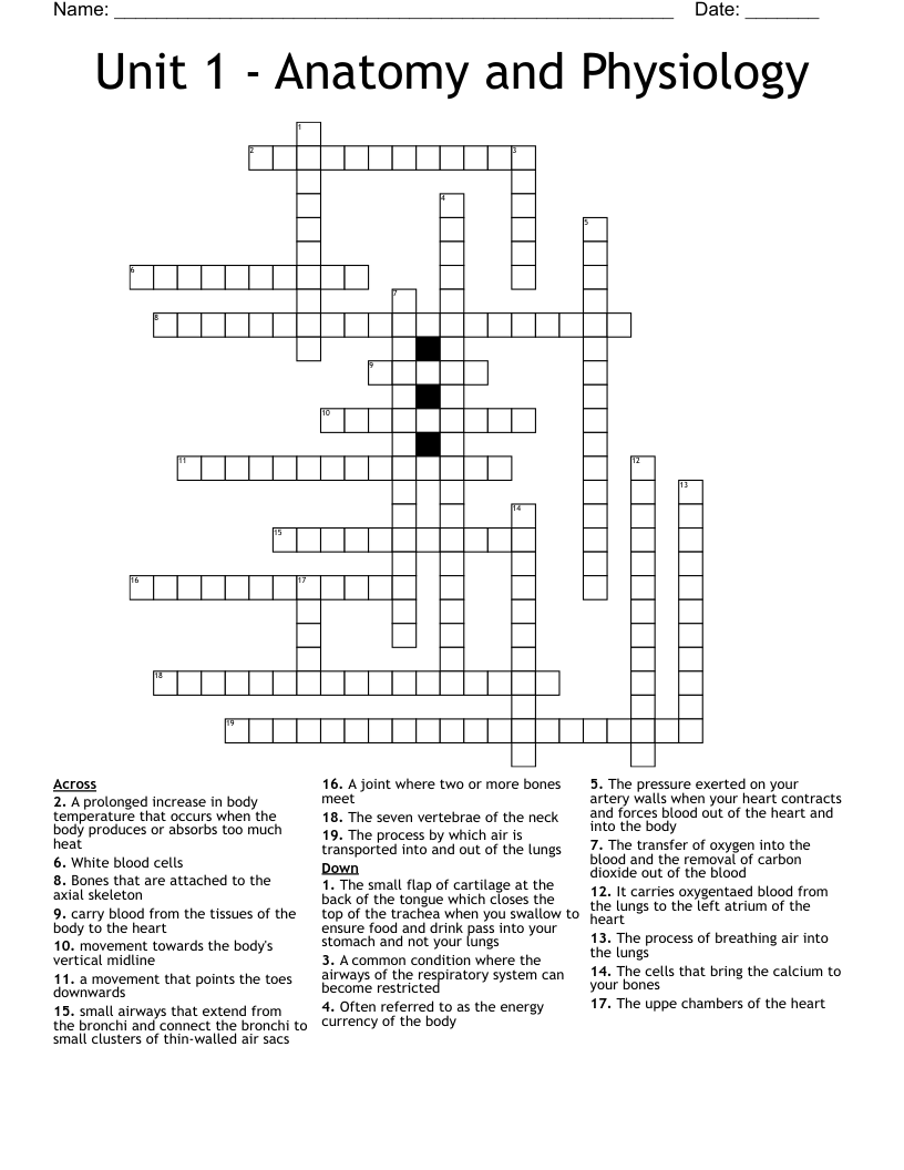 Unit 1 - Anatomy and Physiology Crossword - WordMint