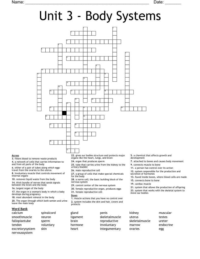Unit 3 - Body Systems Crossword - WordMint