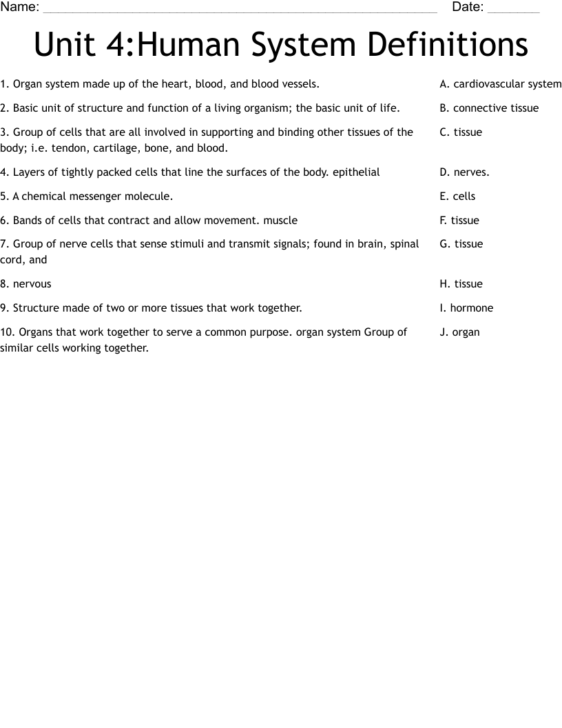 Unit 4:Human System Definitions Worksheet - WordMint
