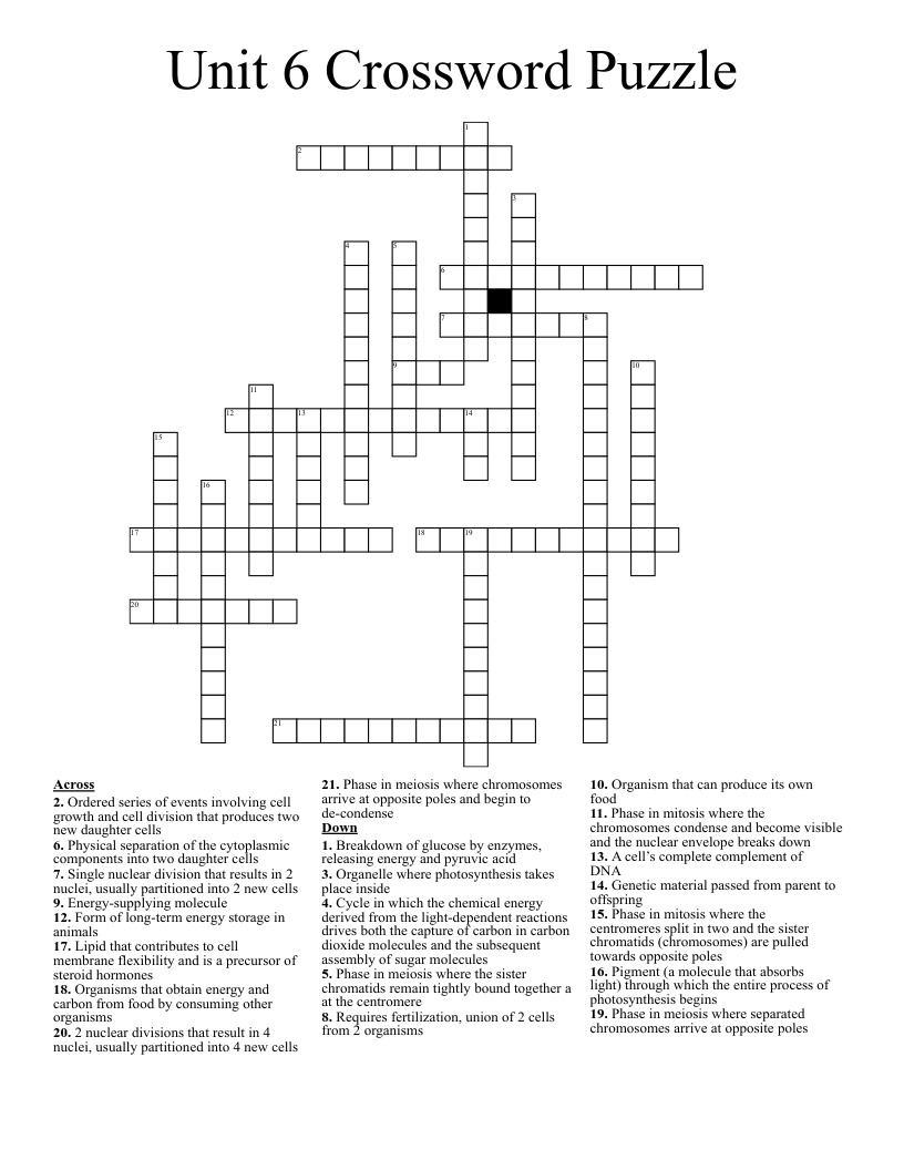 Unit 6 Crossword Puzzle - WordMint