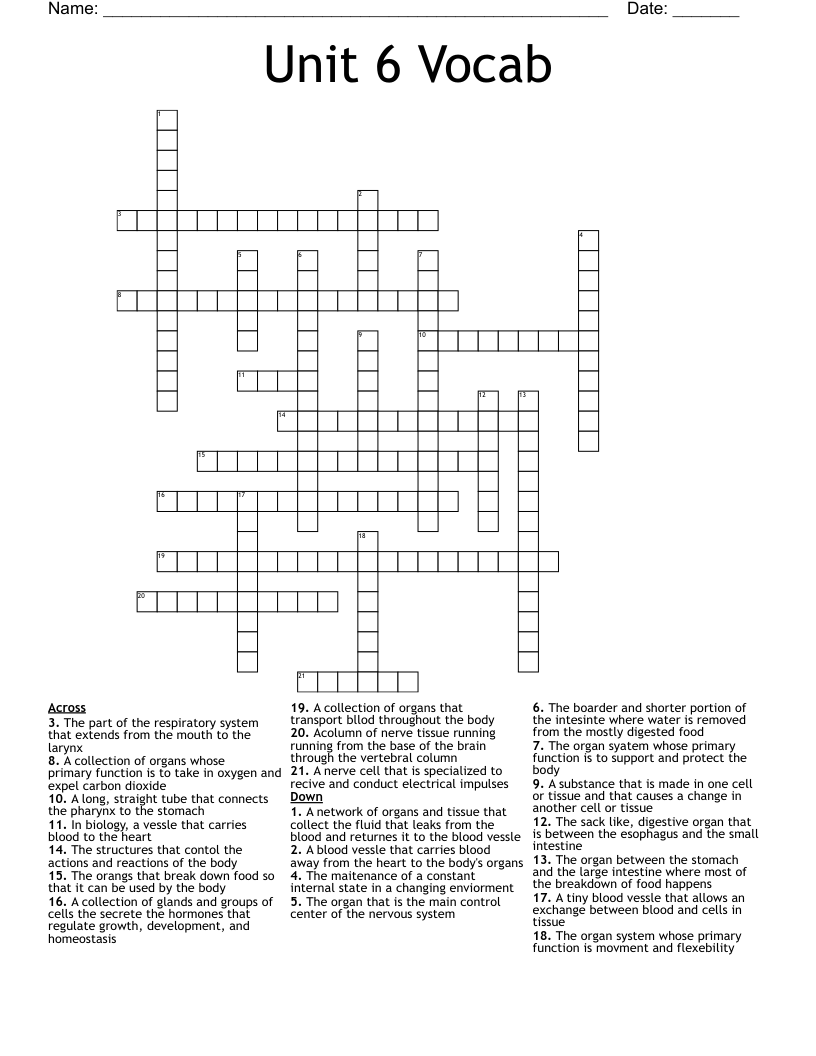 Unit 6 Vocab Crossword - WordMint