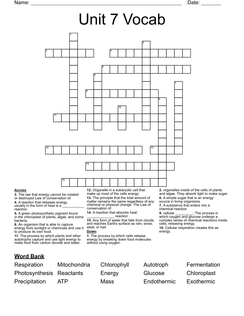 Unit 7 Vocab Crossword - WordMint