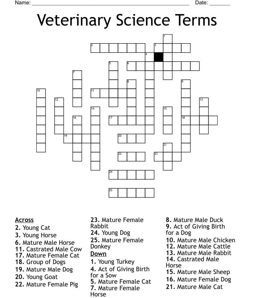 Veterinary Puzzles - WordMint