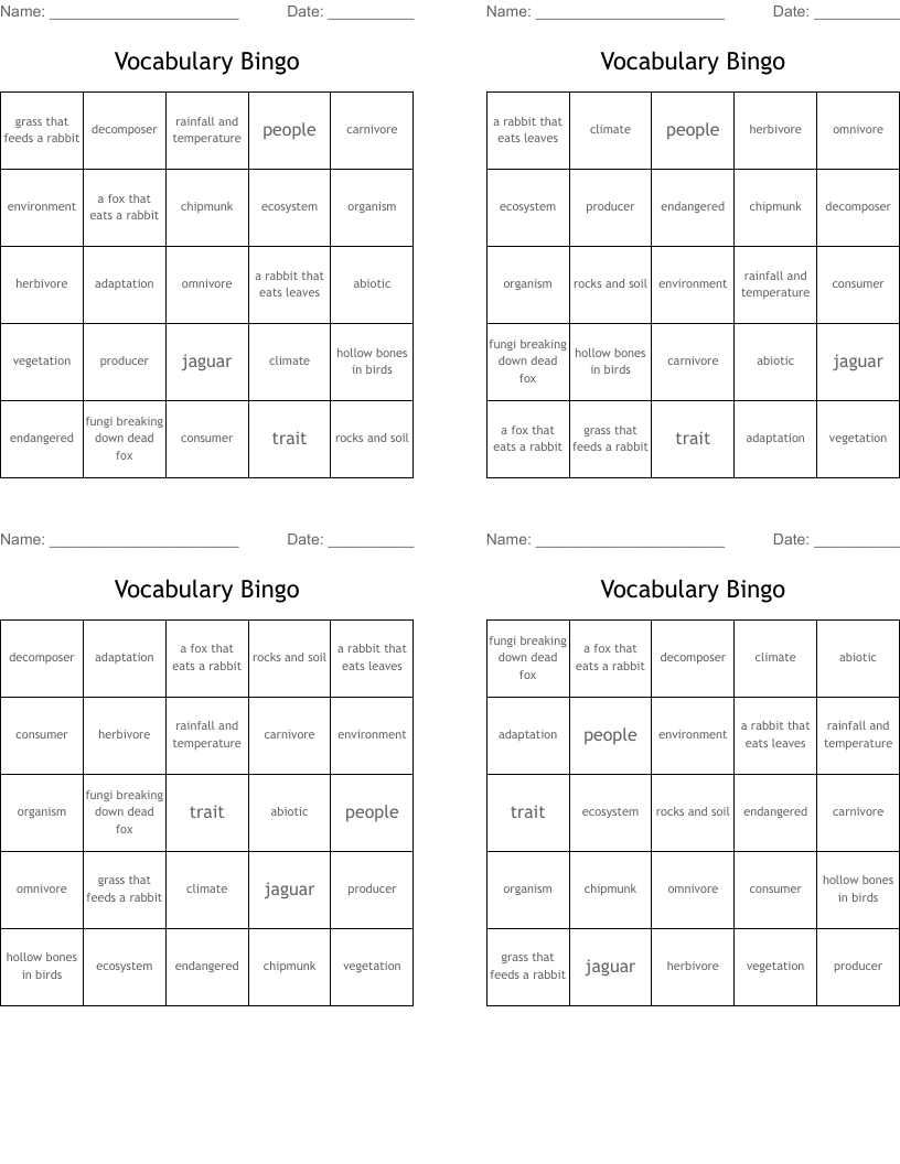 Vocabulary Bingo - WordMint