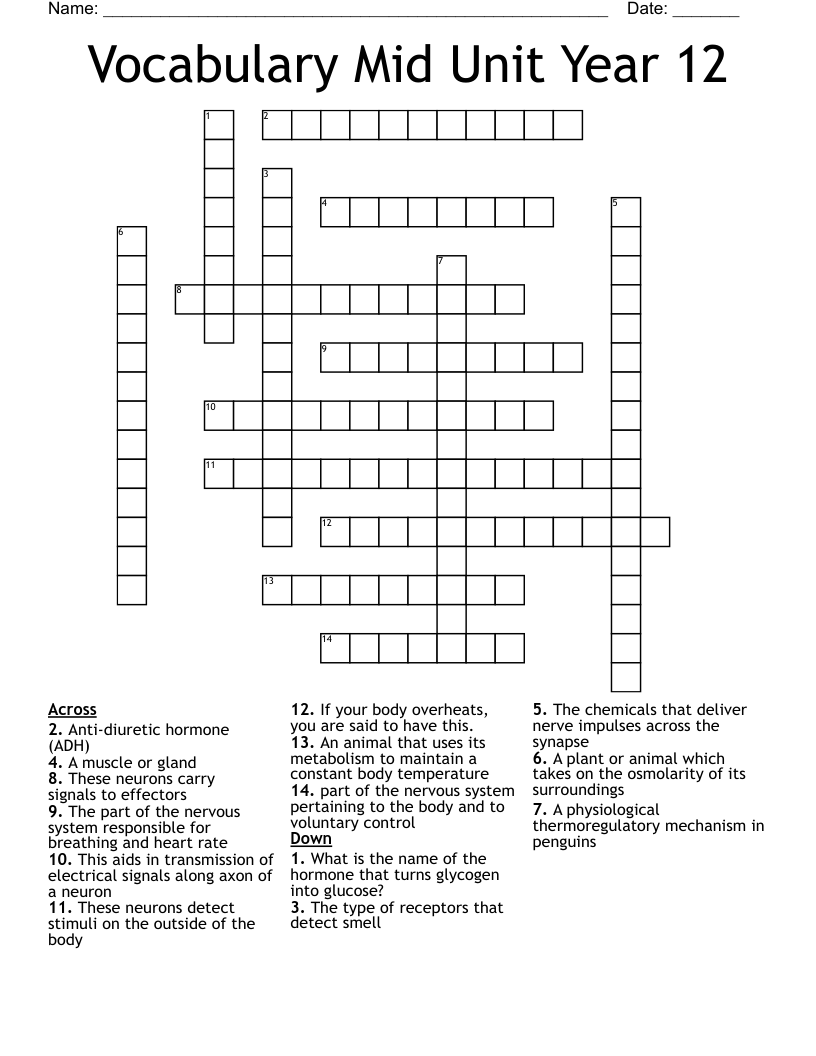 Vocabulary Mid Unit Year 12 Crossword - WordMint