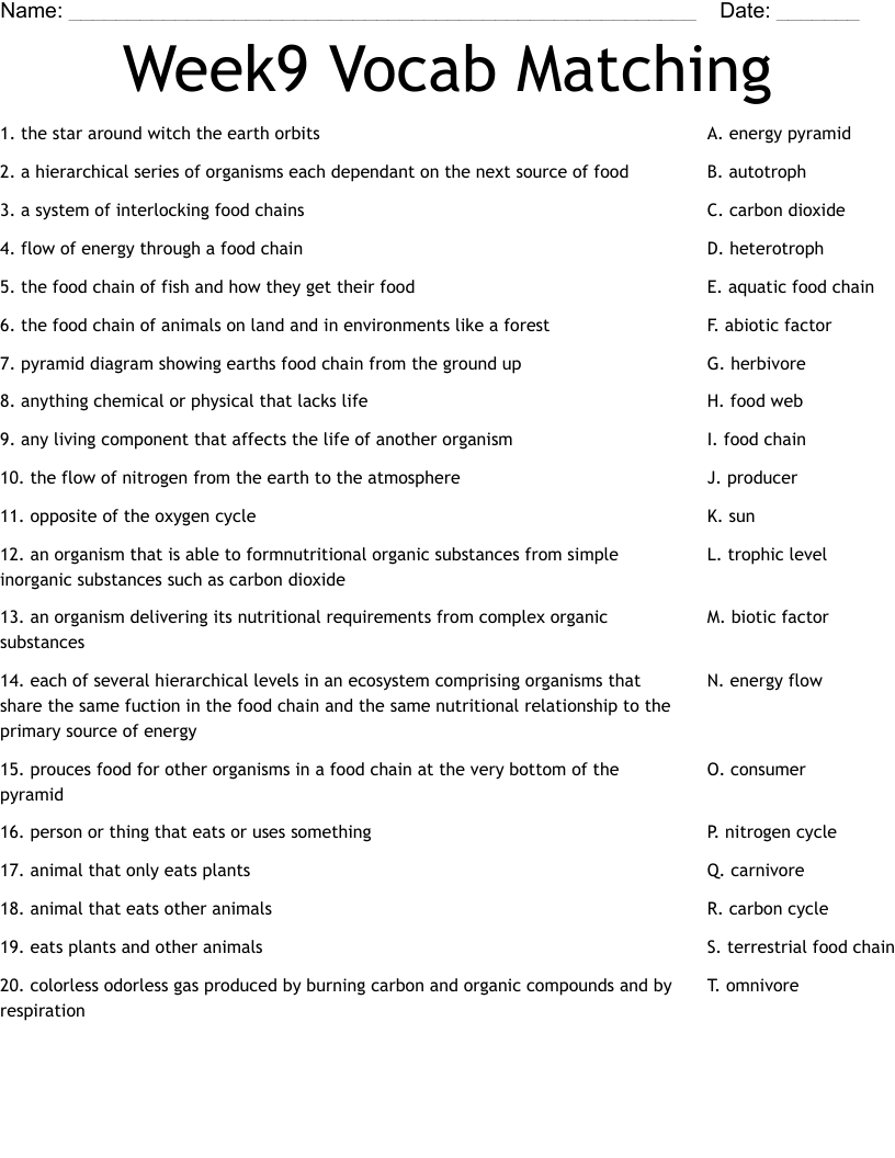 Week9 Vocab Matching Worksheet - WordMint