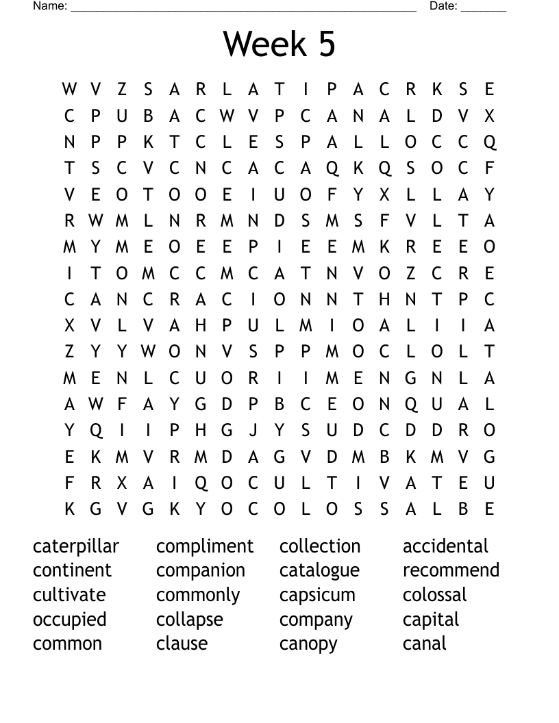 Week 5 Word Search - WordMint