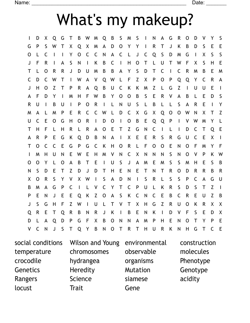 What s My Makeup Word Search WordMint