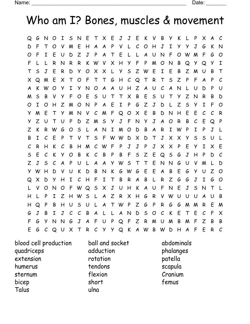 Who am I? Bones, muscles & movement Word Search - WordMint