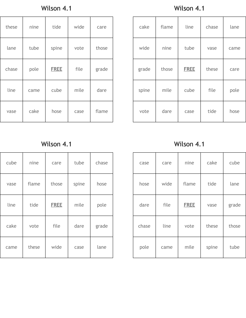 Wilson 4.1 Bingo Cards - WordMint