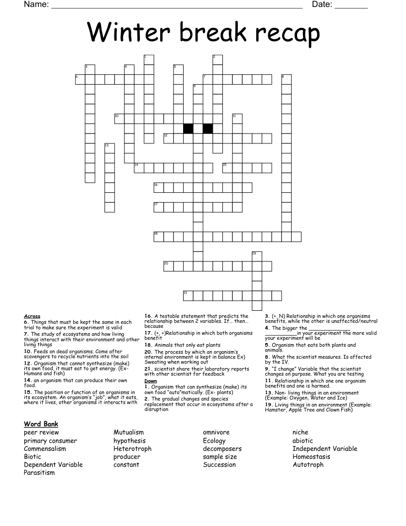 Winter break recap Crossword - WordMint