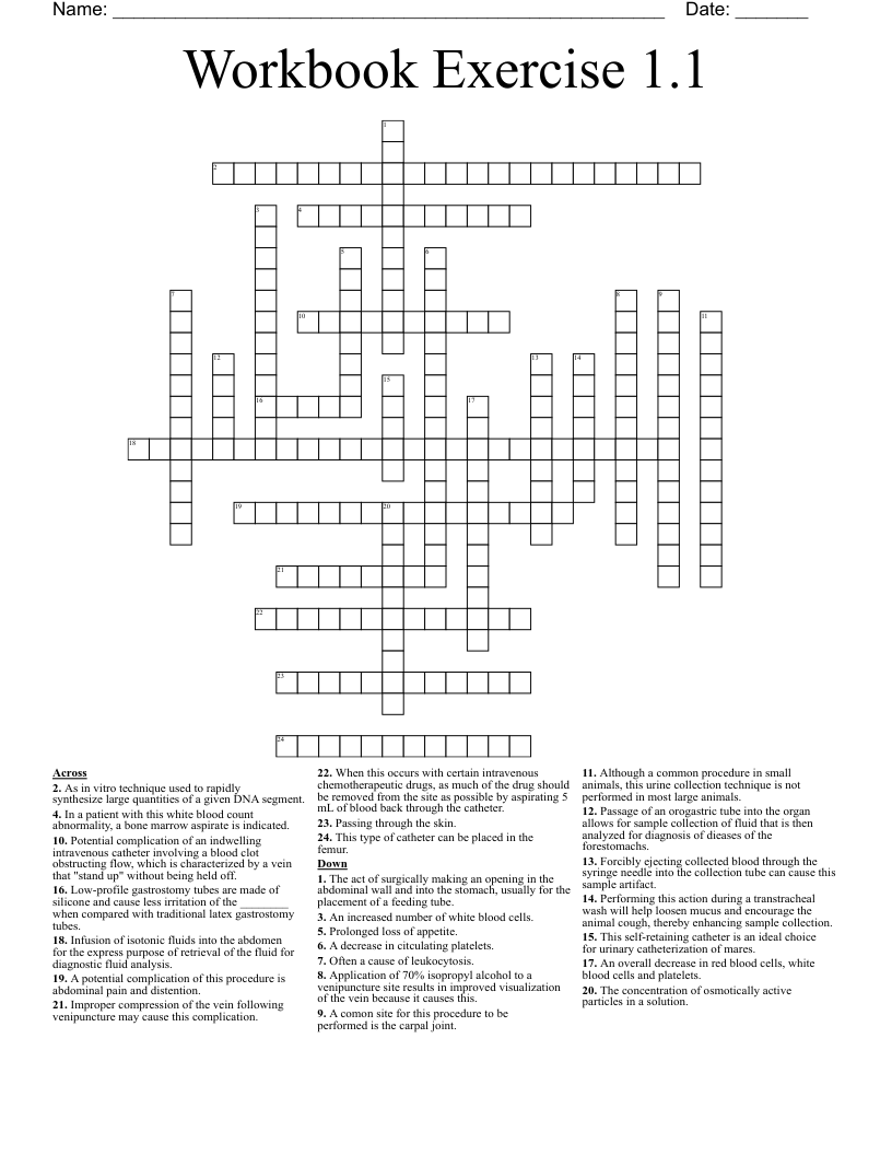Workbook Exercise 1.1 Crossword - WordMint