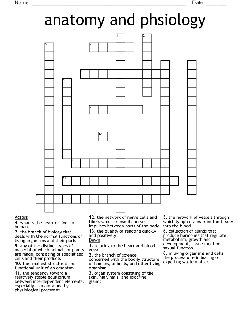 anatomy and phsiology Crossword - WordMint