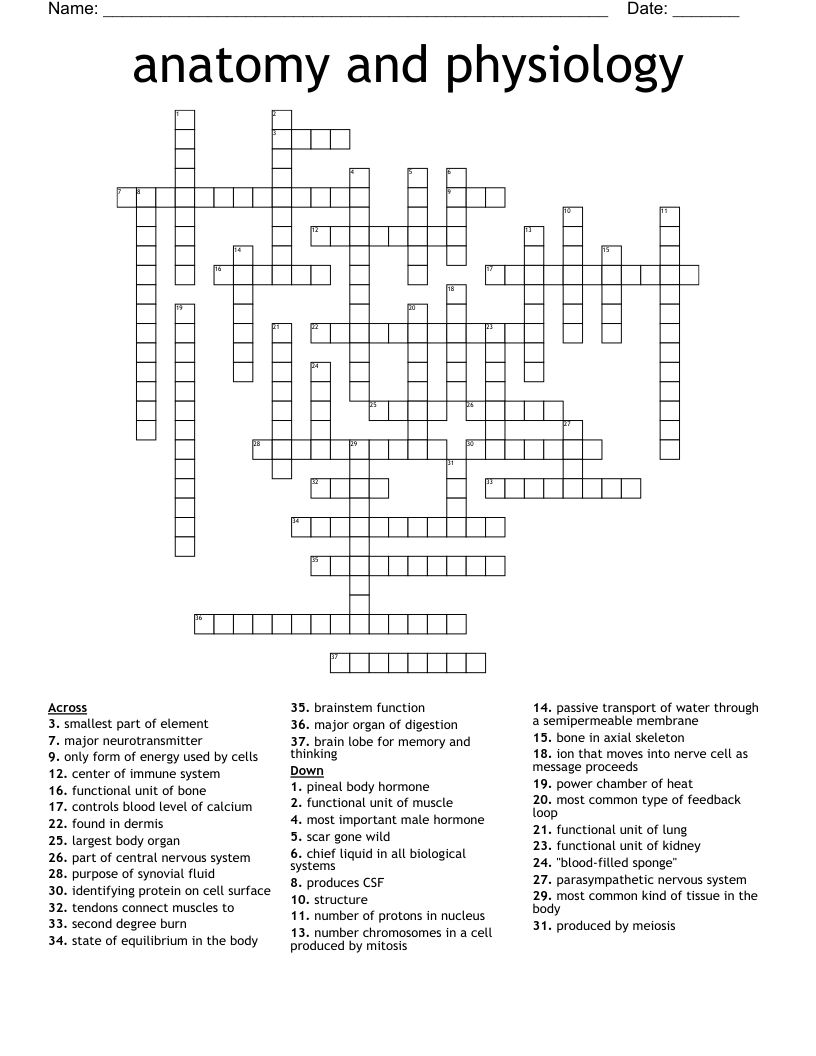 anatomy and physiology Crossword - WordMint