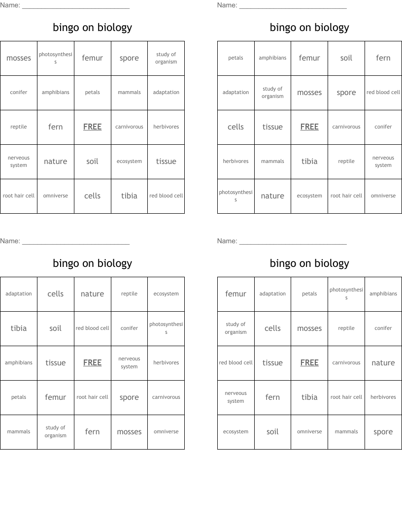 bingo on biology - WordMint