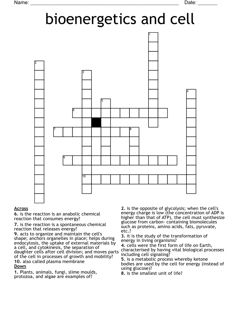 bioenergetics and cell Crossword - WordMint