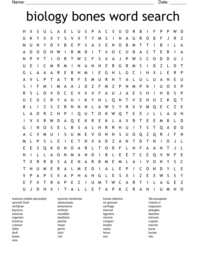 Ther Human Body Word Search WordMint
