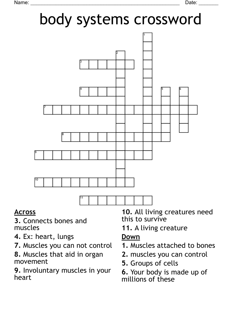 body systems crossword - WordMint