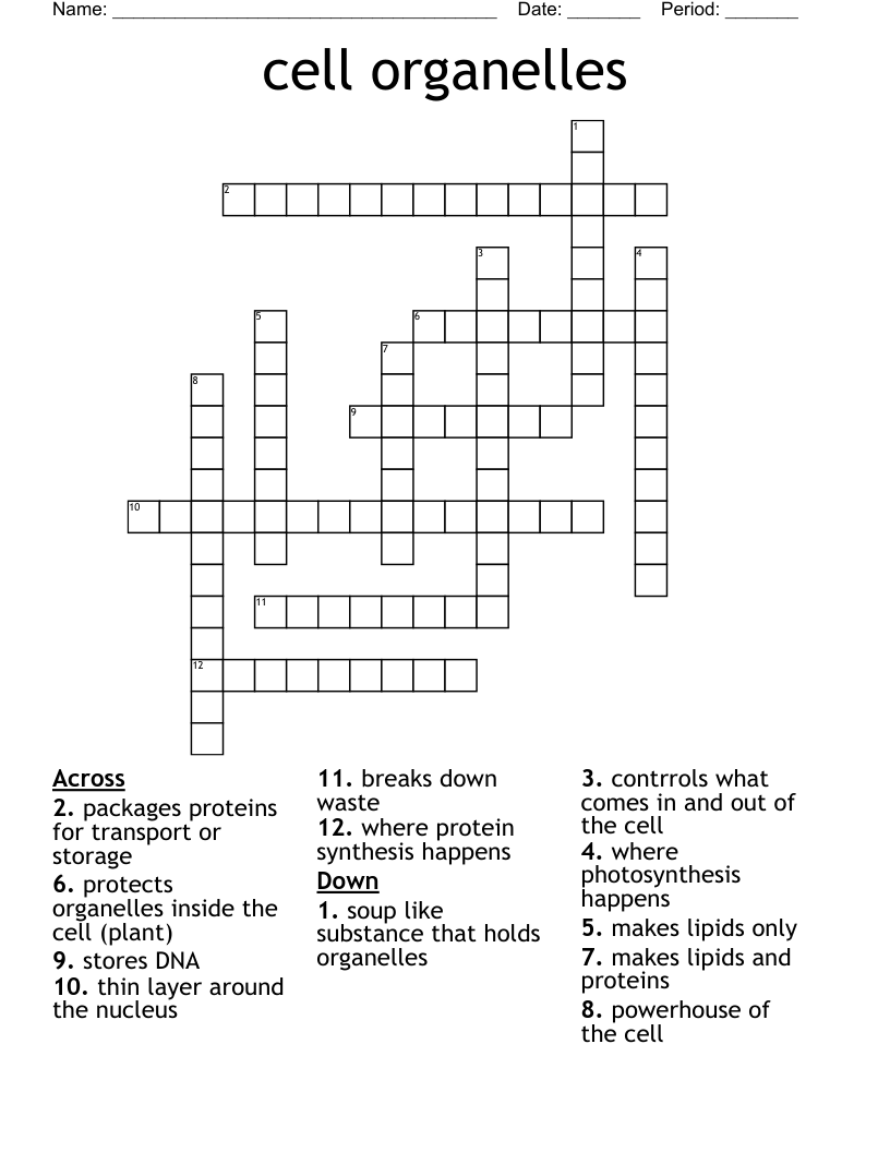 Cell parts and functions Crossword - WordMint