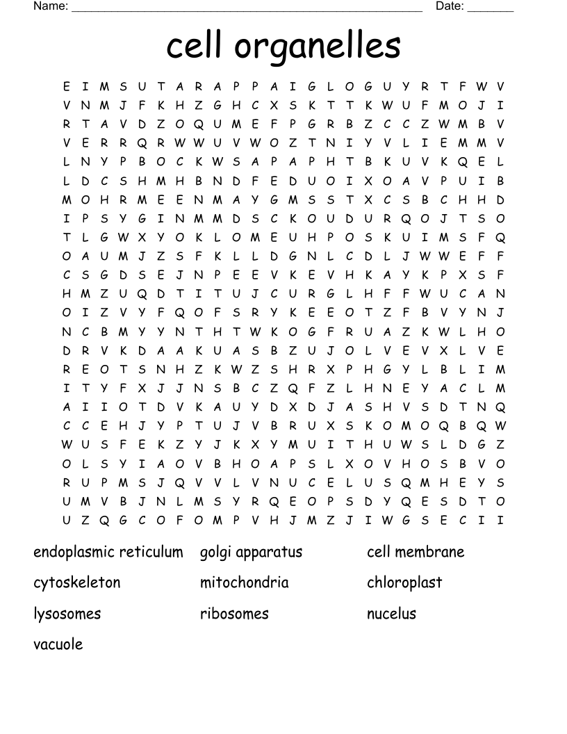 Cell Organelles Word Search WordMint