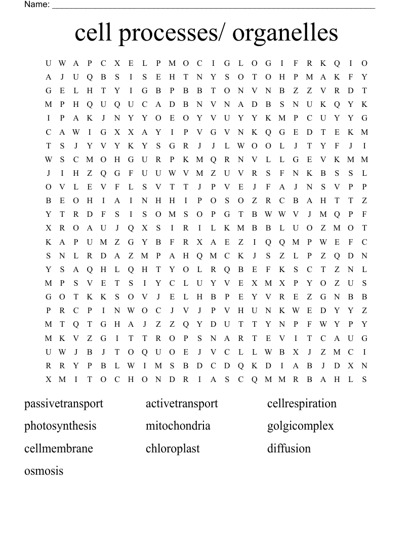 cell processes/ organelles Word Search - WordMint