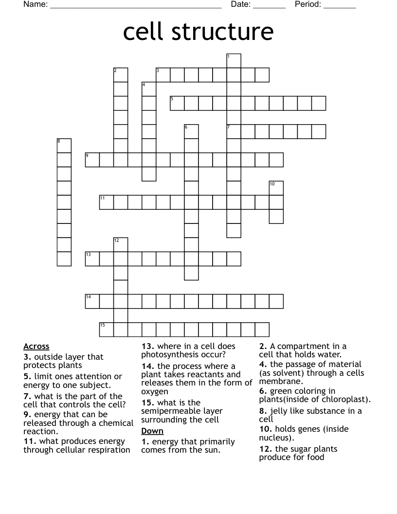 cell structure Crossword - WordMint