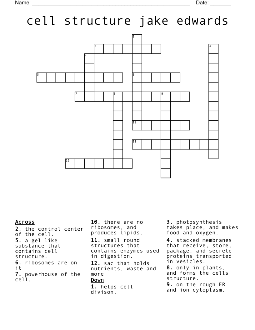 cell structure jake edwards Crossword - WordMint