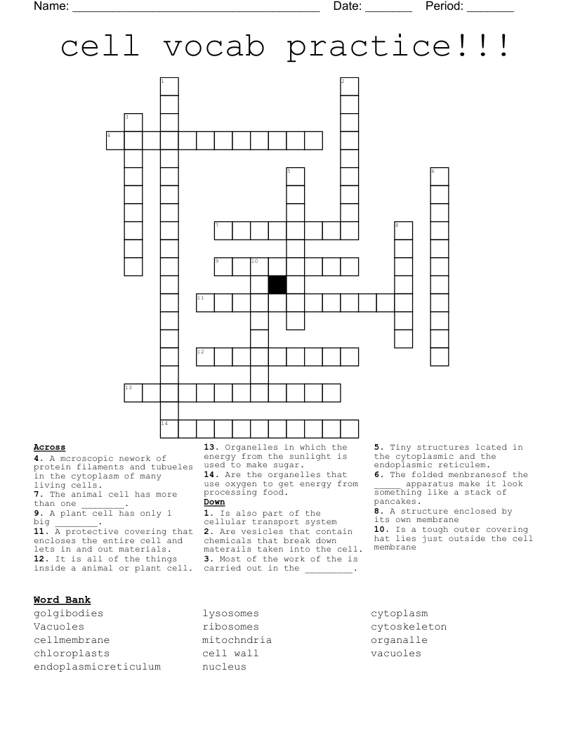 cell vocab practice!!! Crossword - WordMint