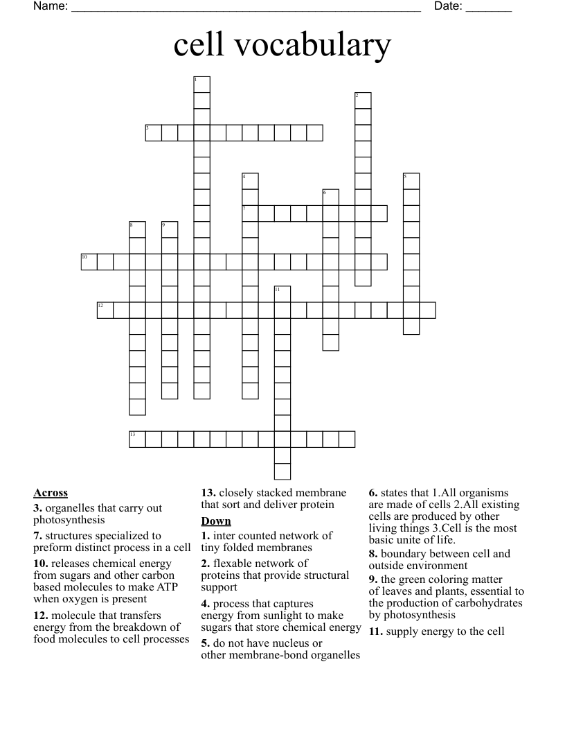 cell vocabulary Crossword - WordMint