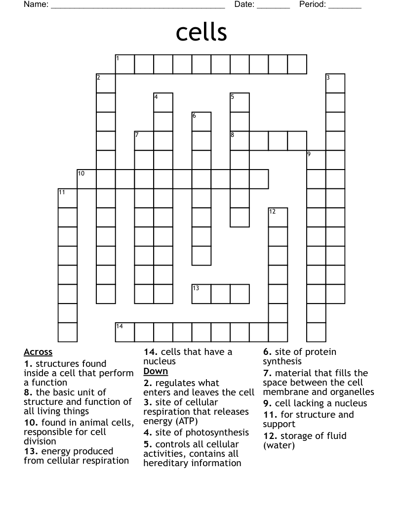 Cells Crossword WordMint cells-crossword-wordmint