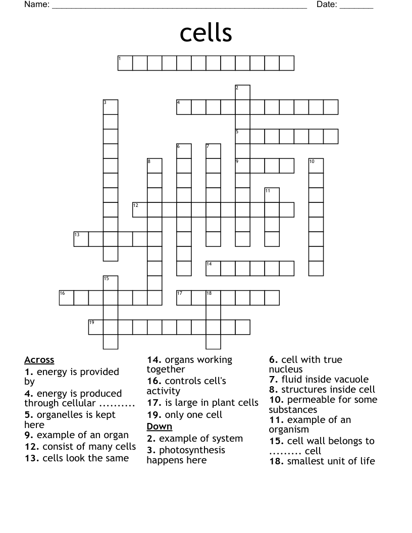 cells Crossword - WordMint