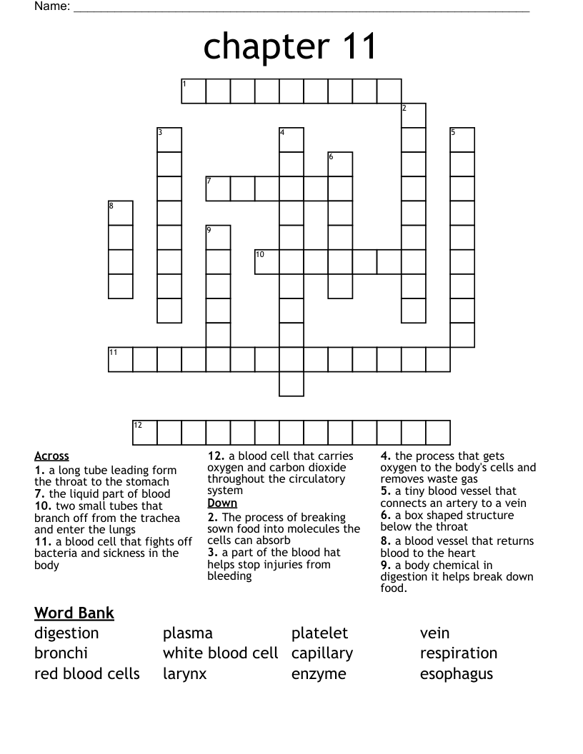 chapter 11 Crossword - WordMint