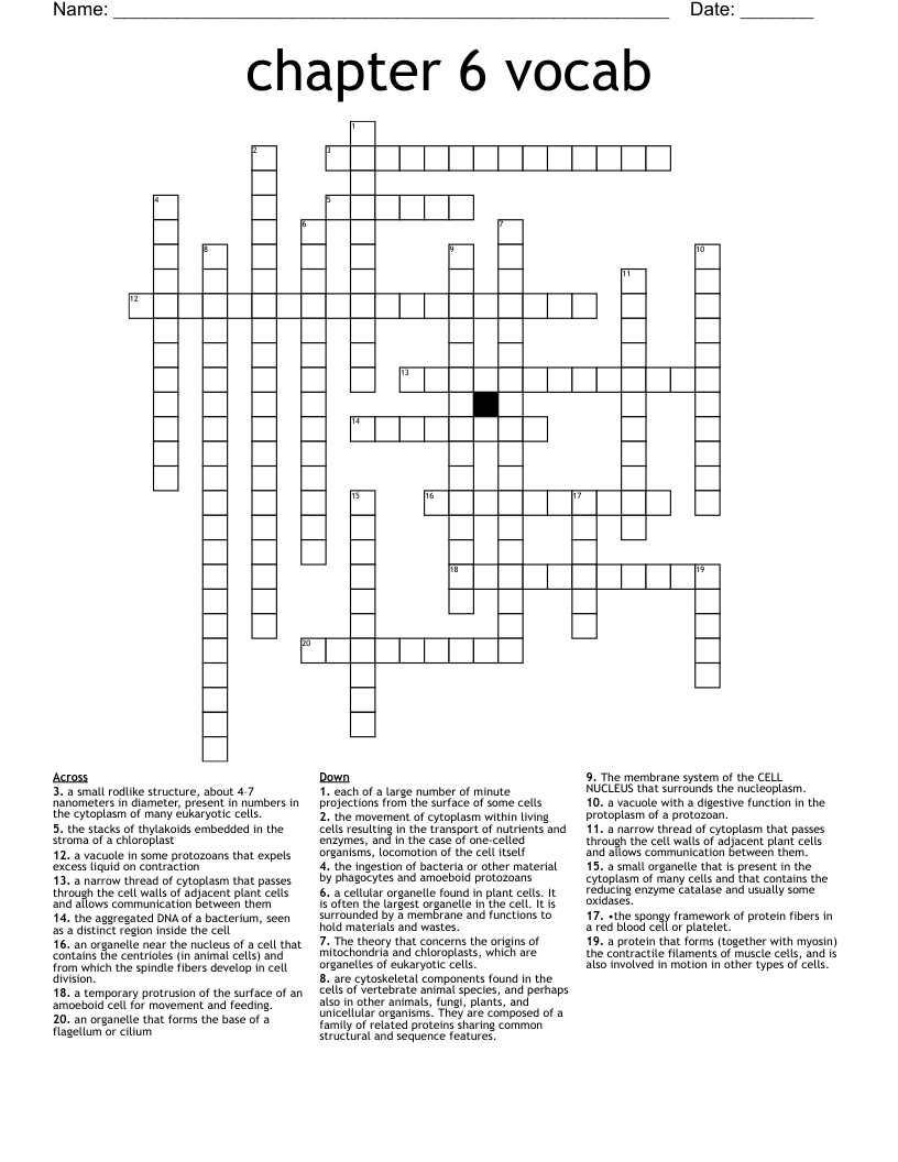 chapter 6 vocab Crossword - WordMint