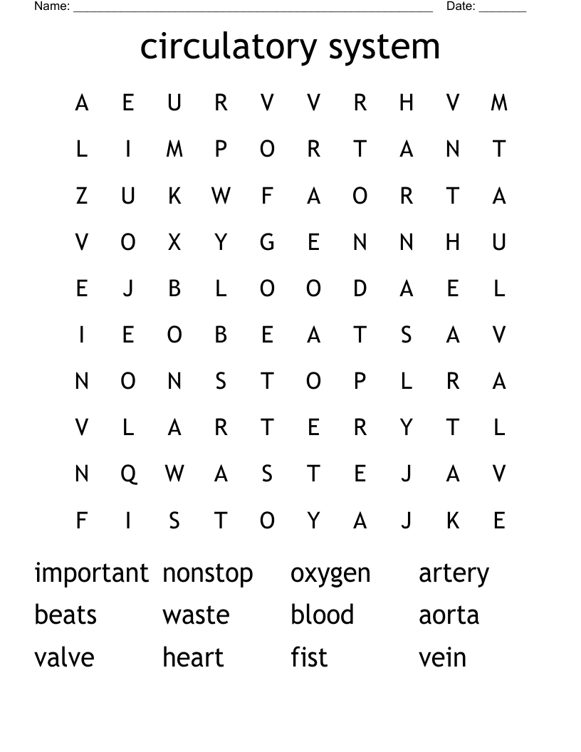 circulatory system Word Search - WordMint