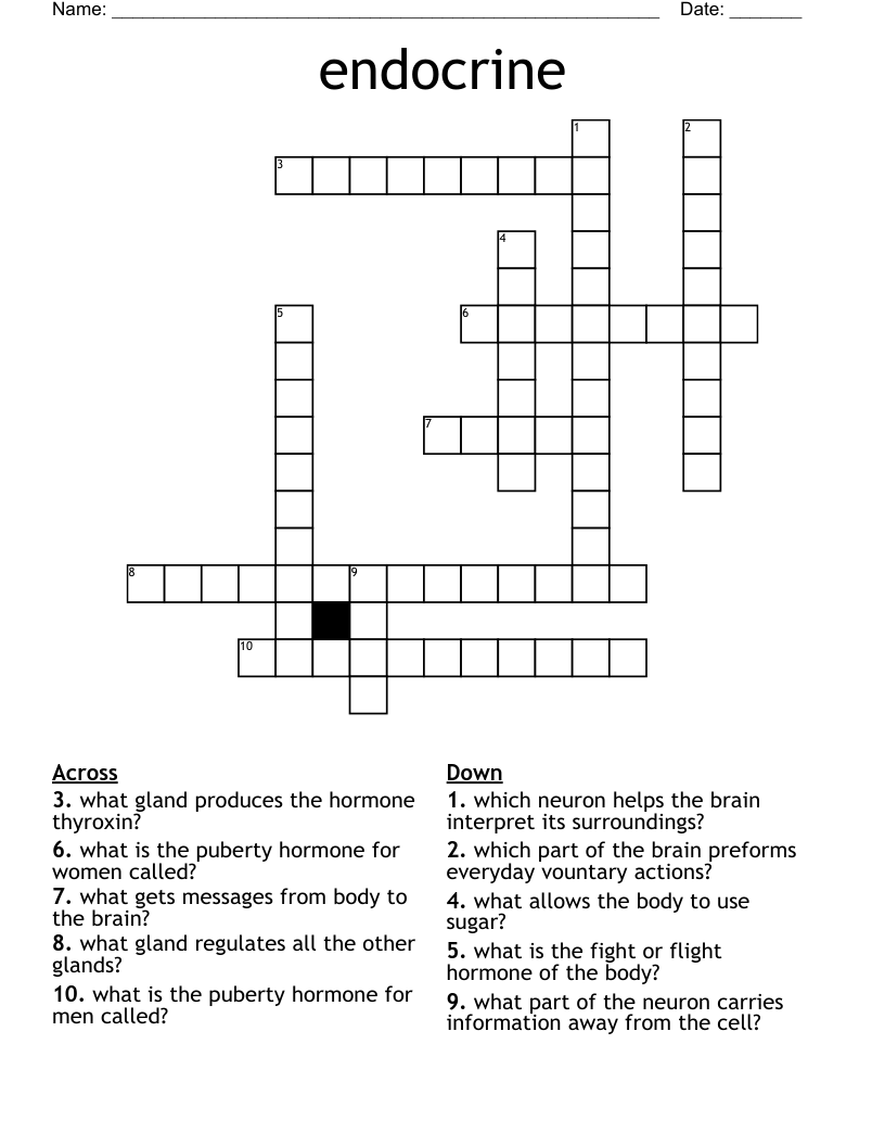 endocrine Crossword - WordMint