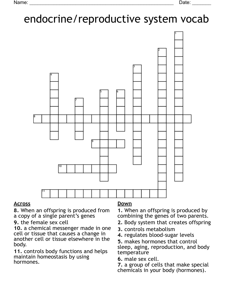 endocrine/reproductive system vocab Crossword - WordMint