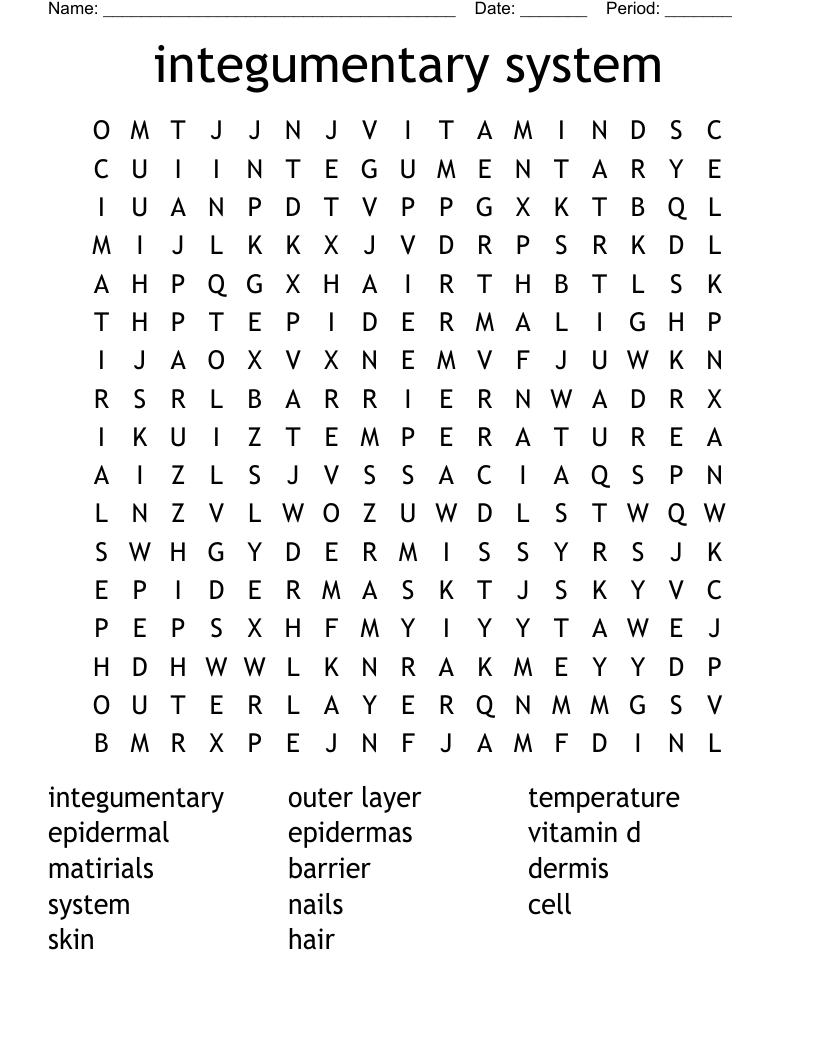 integumentary system Word Search - WordMint
