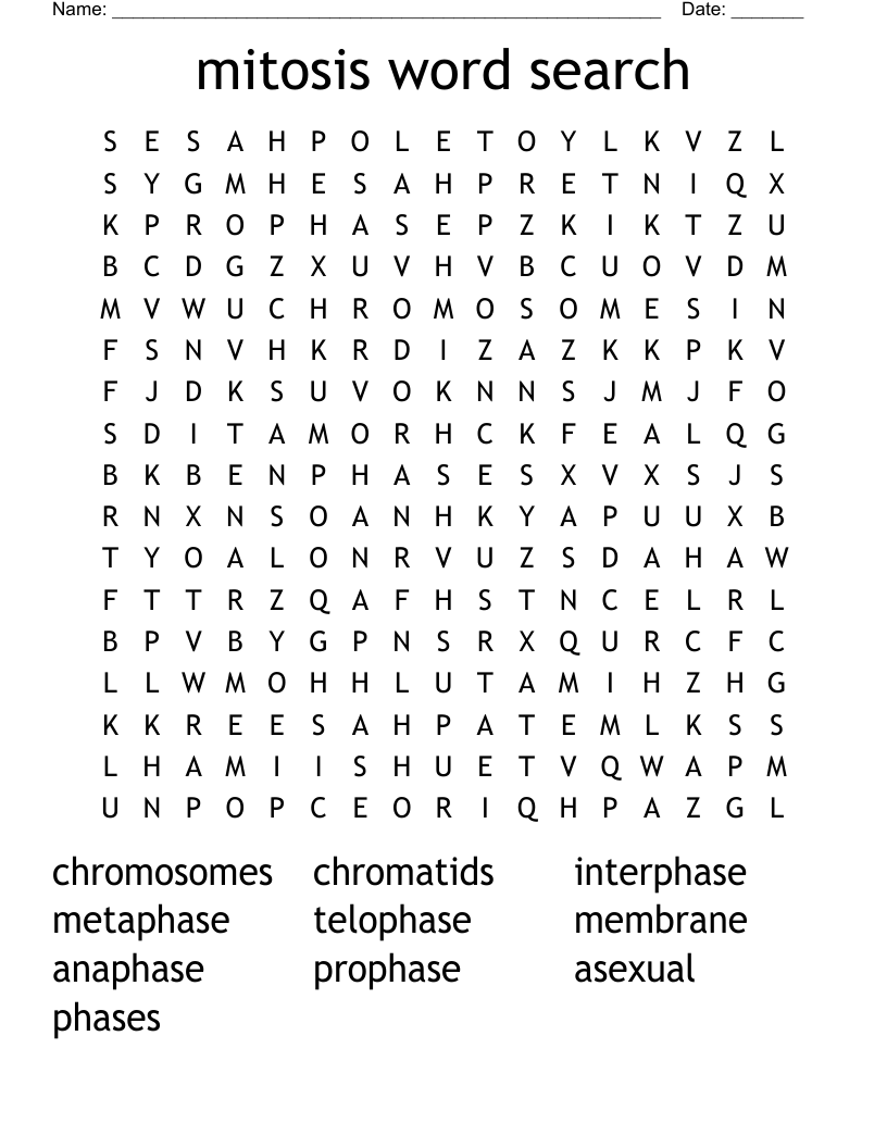 mitosis word search - WordMint