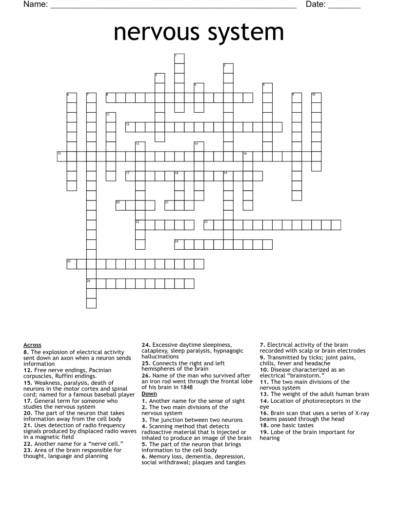 nervous system Crossword - WordMint