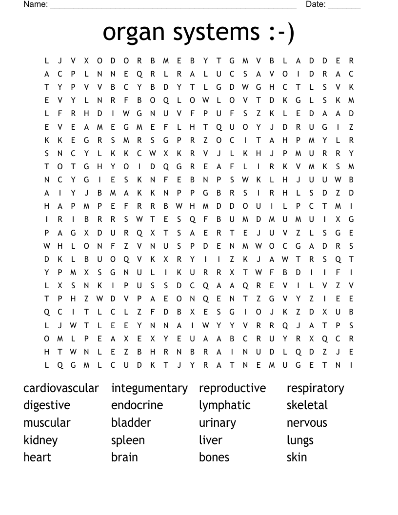 Organ Systems Word Search WordMint