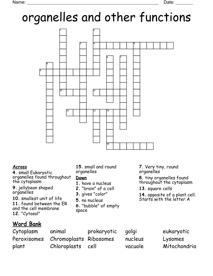 organelles and other functions Crossword - WordMint