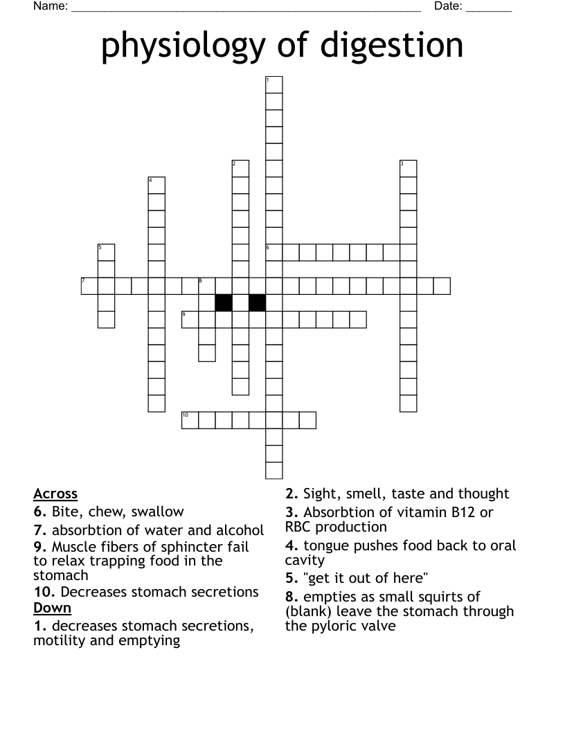 physiology of digestion Crossword - WordMint