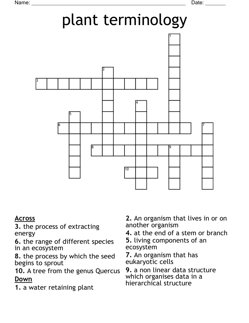 plant terminology Crossword - WordMint