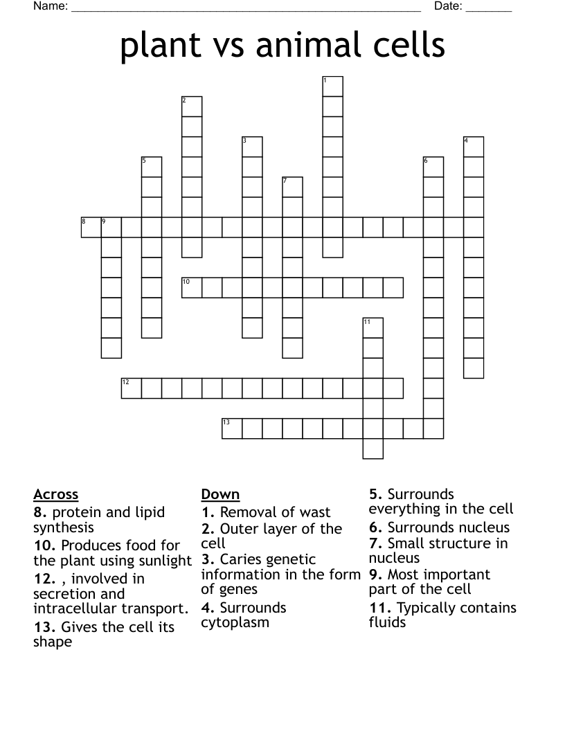 plant vs animal cells Crossword - WordMint