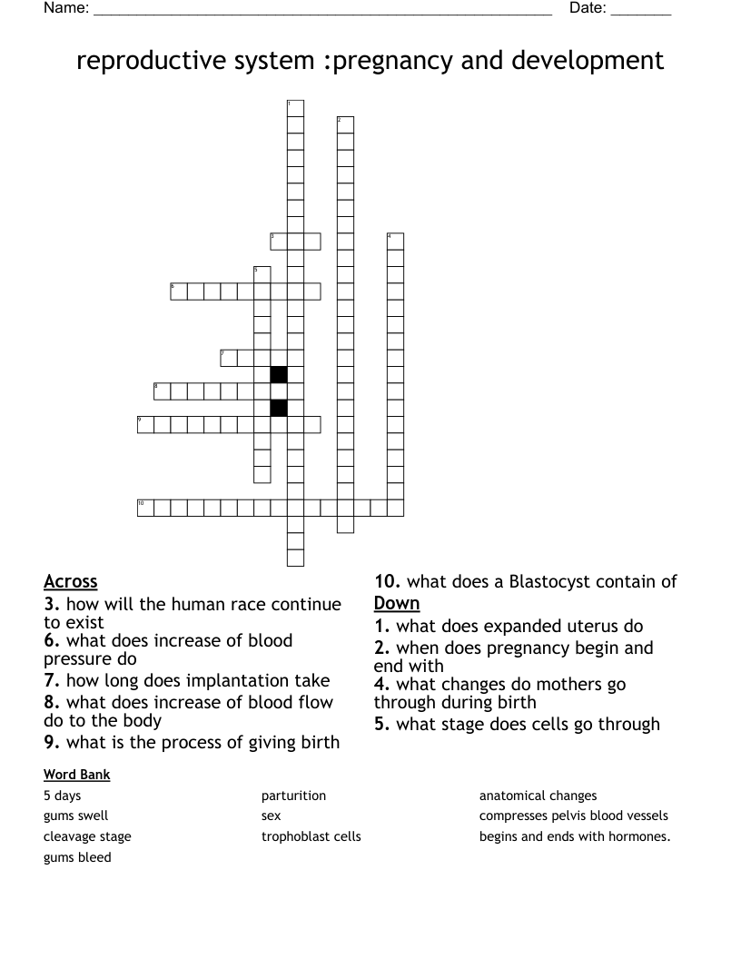 reproductive system :pregnancy and development Crossword - WordMint