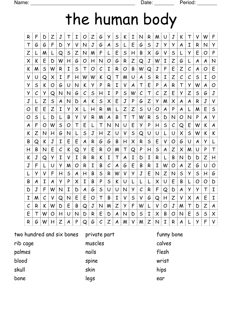 The Human Body Word Search WordMint